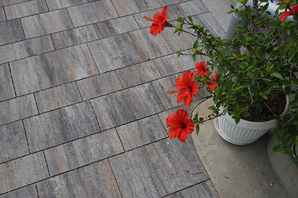 TRANSKOP Paraćin : BEHATON MODELI